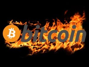 Bitcoin Who's Who Blog | We put the pseudo in pseudonymous